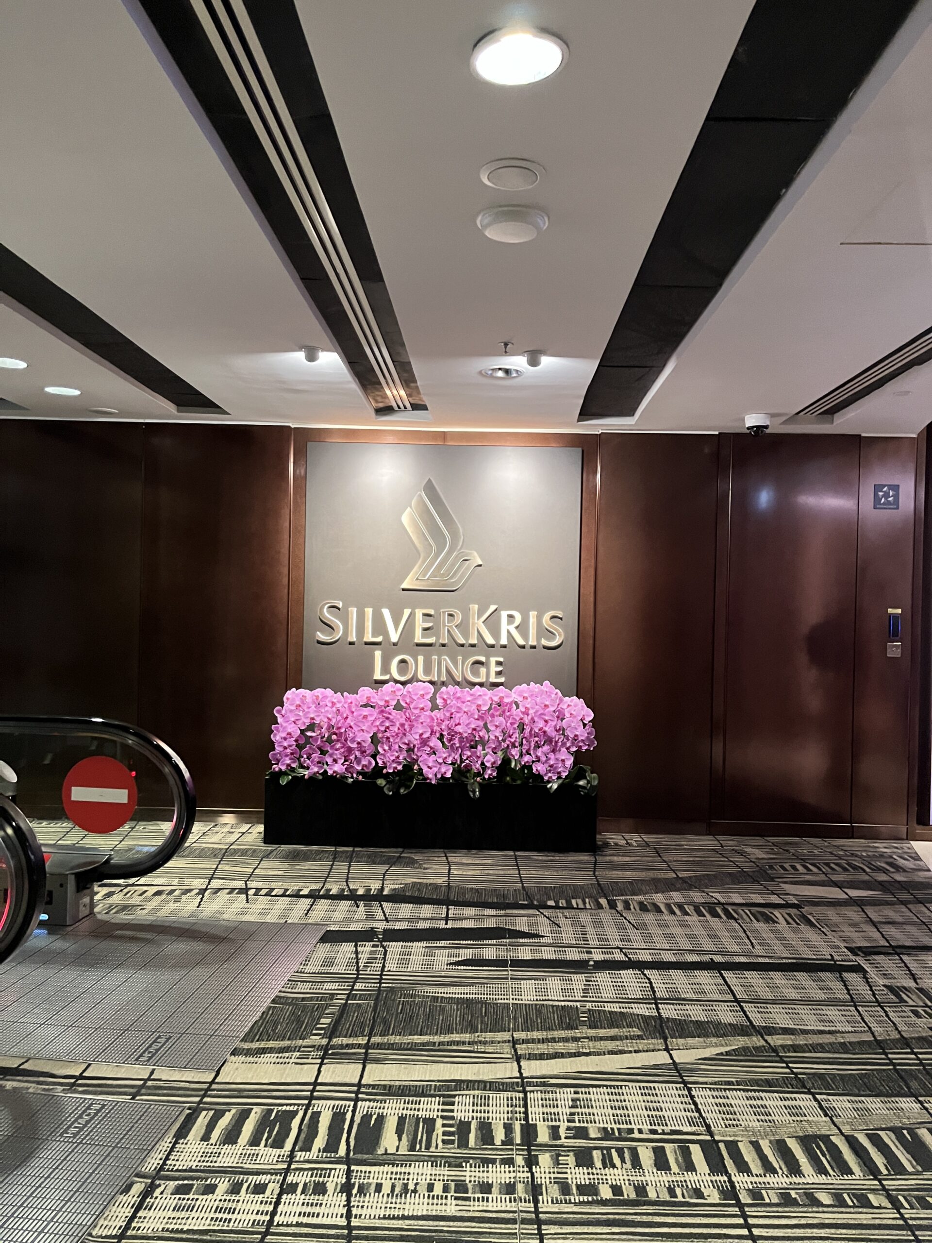 シンガポール＆台湾 旅行記 2024年7月④ 3日目 シンガポール航空 ビジネスクラス SQ874 シルバークリスラウンジ ターミナル3 ...